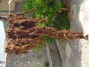 VUNA I FILCANJE | Ruta Cres